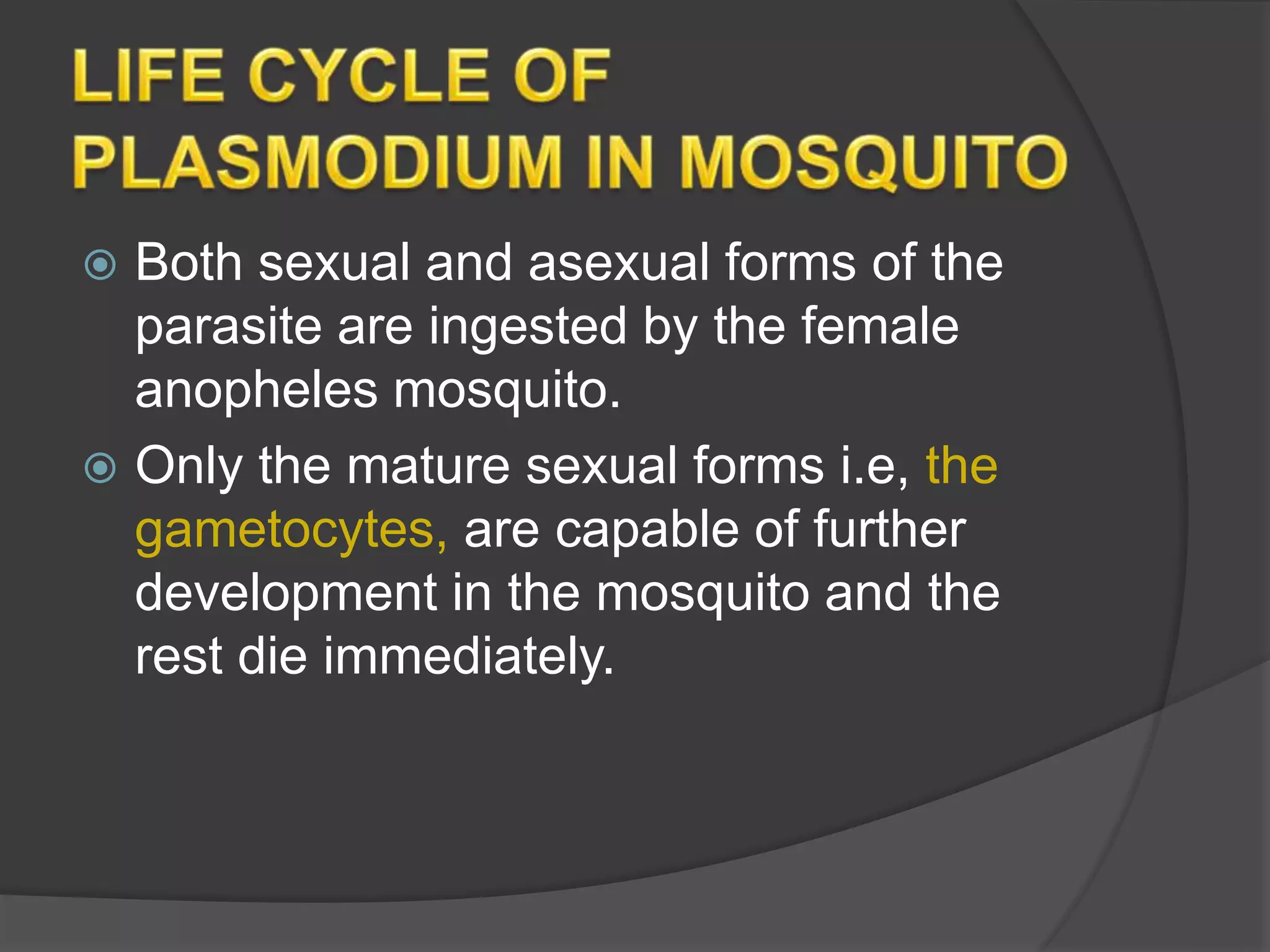 Malarial parasite: morphology and lifecycle -mosquito phase | PPTX