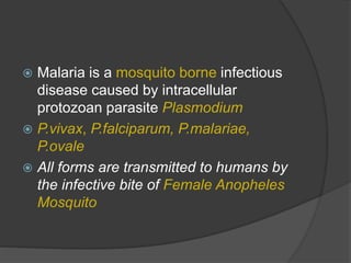 Malarial parasite: morphology and lifecycle -mosquito phase | PPTX