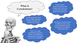 Cytoskeleton: Structure and Functions By Jahnvi Singh | PPTX