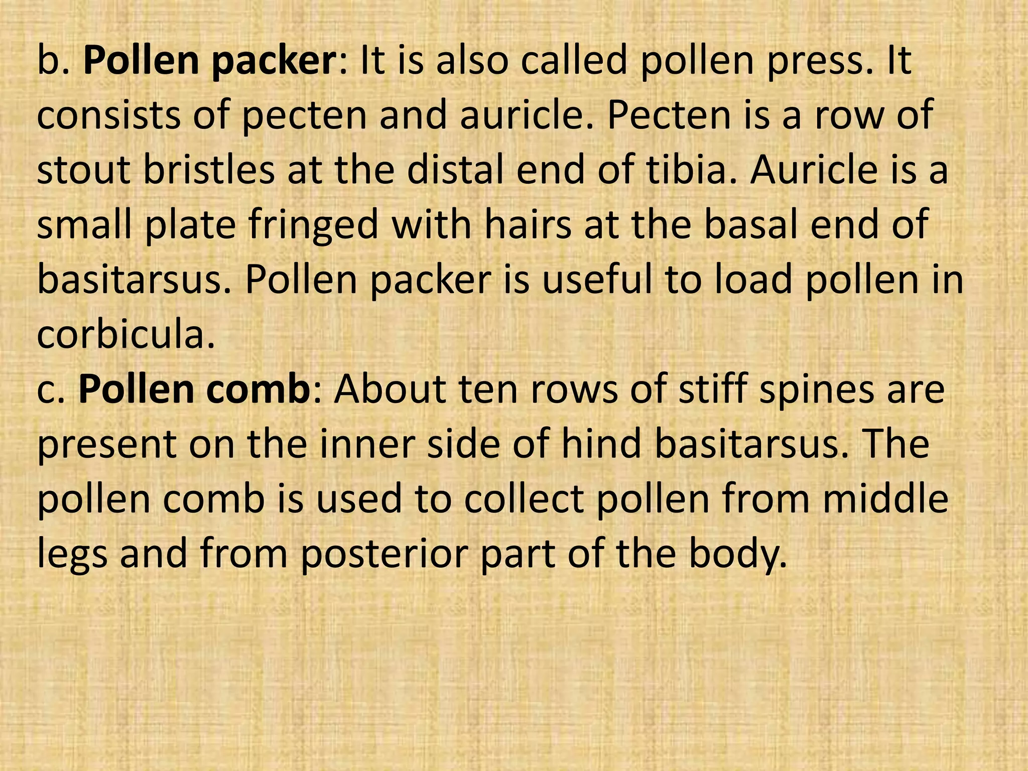 TYPES OF INSECT LEGS | PPTX