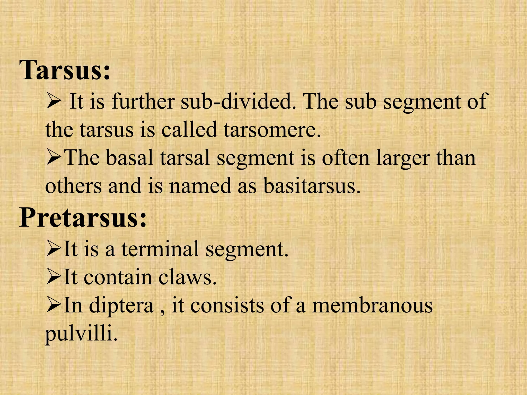 TYPES OF INSECT LEGS | PPTX