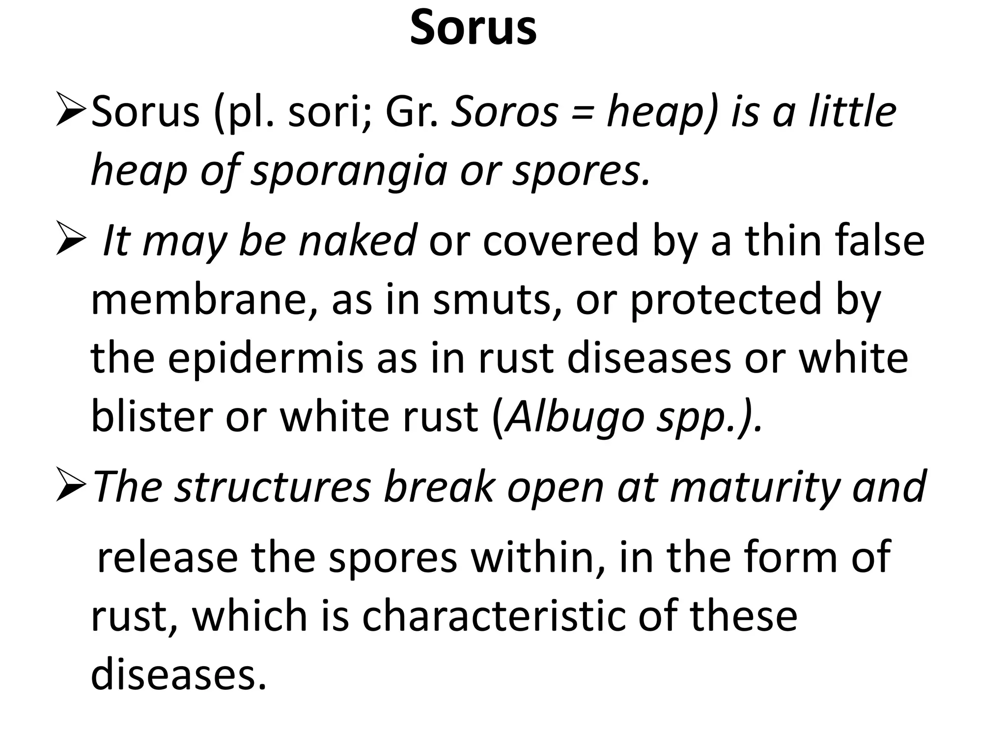Asexual Fruiting bodies of fungi | PPTX