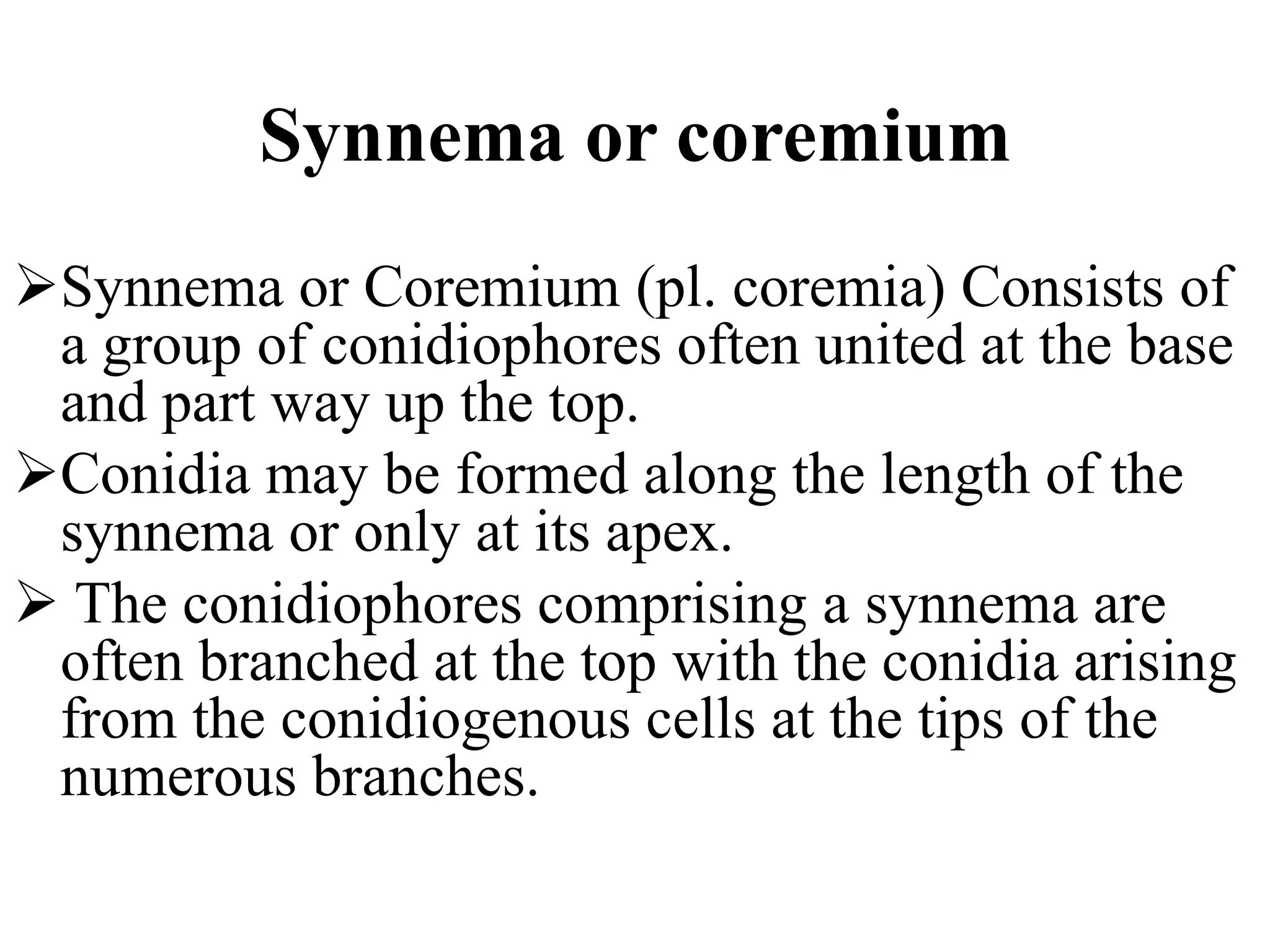 Asexual Fruiting bodies of fungi | PPTX