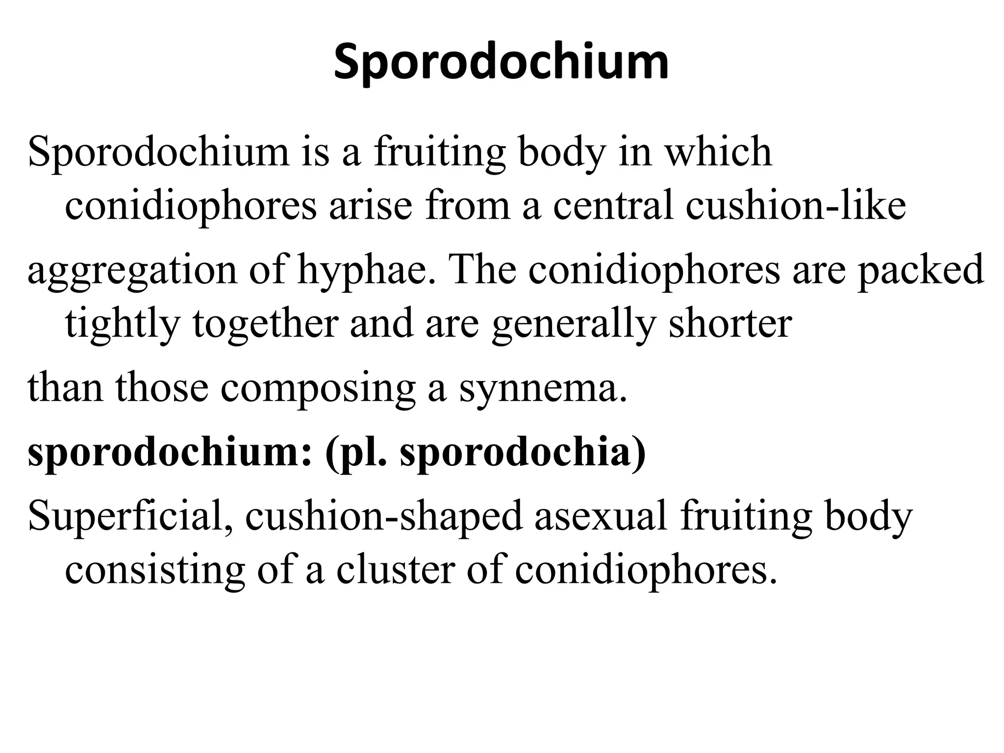 Asexual Fruiting bodies of fungi | PPTX