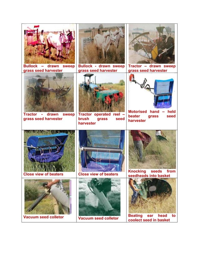 Mechanical harvesting and processing of tropical grass seeds | DOCX