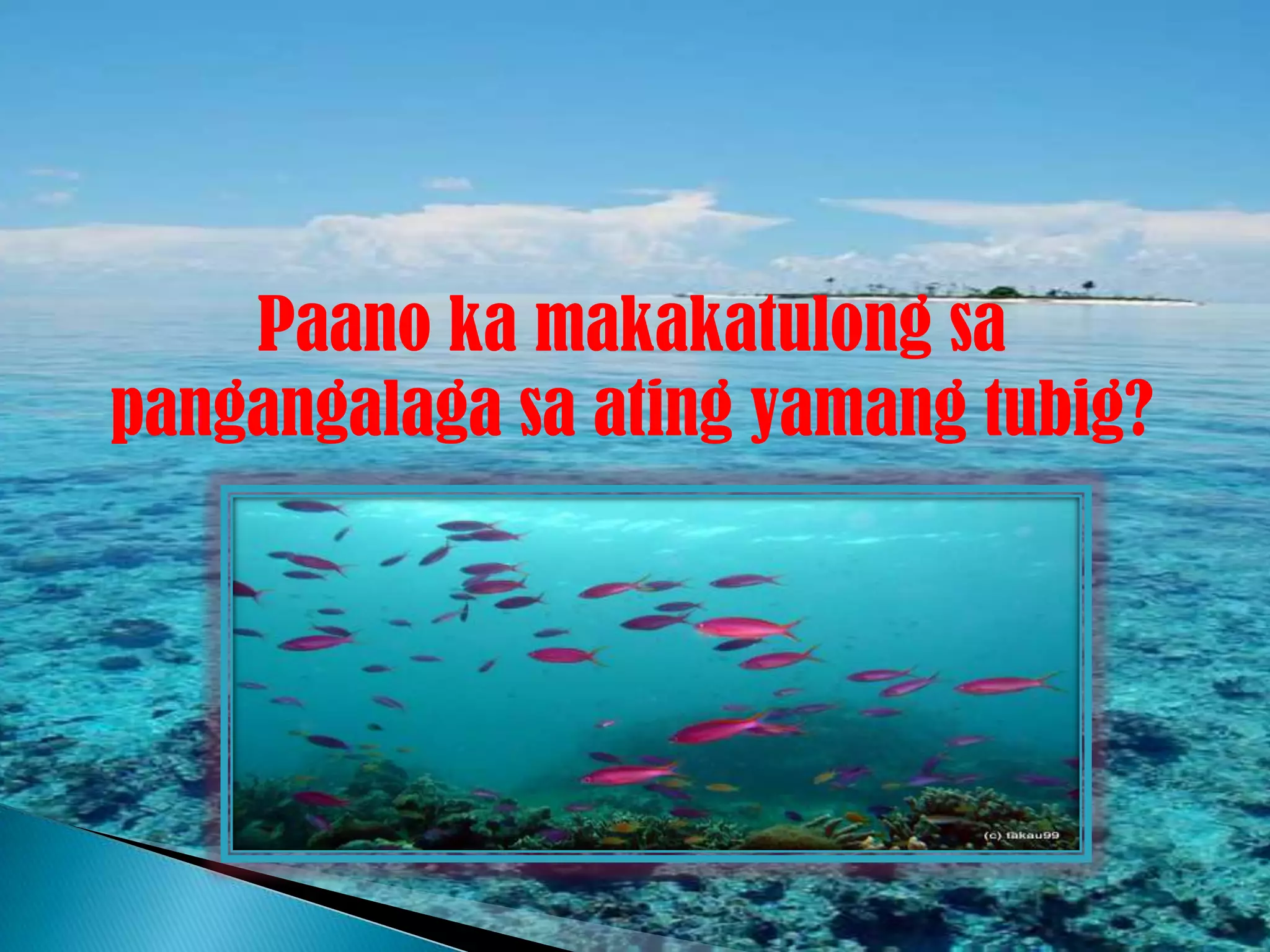 Yaman Dagat Power Point | PPTX