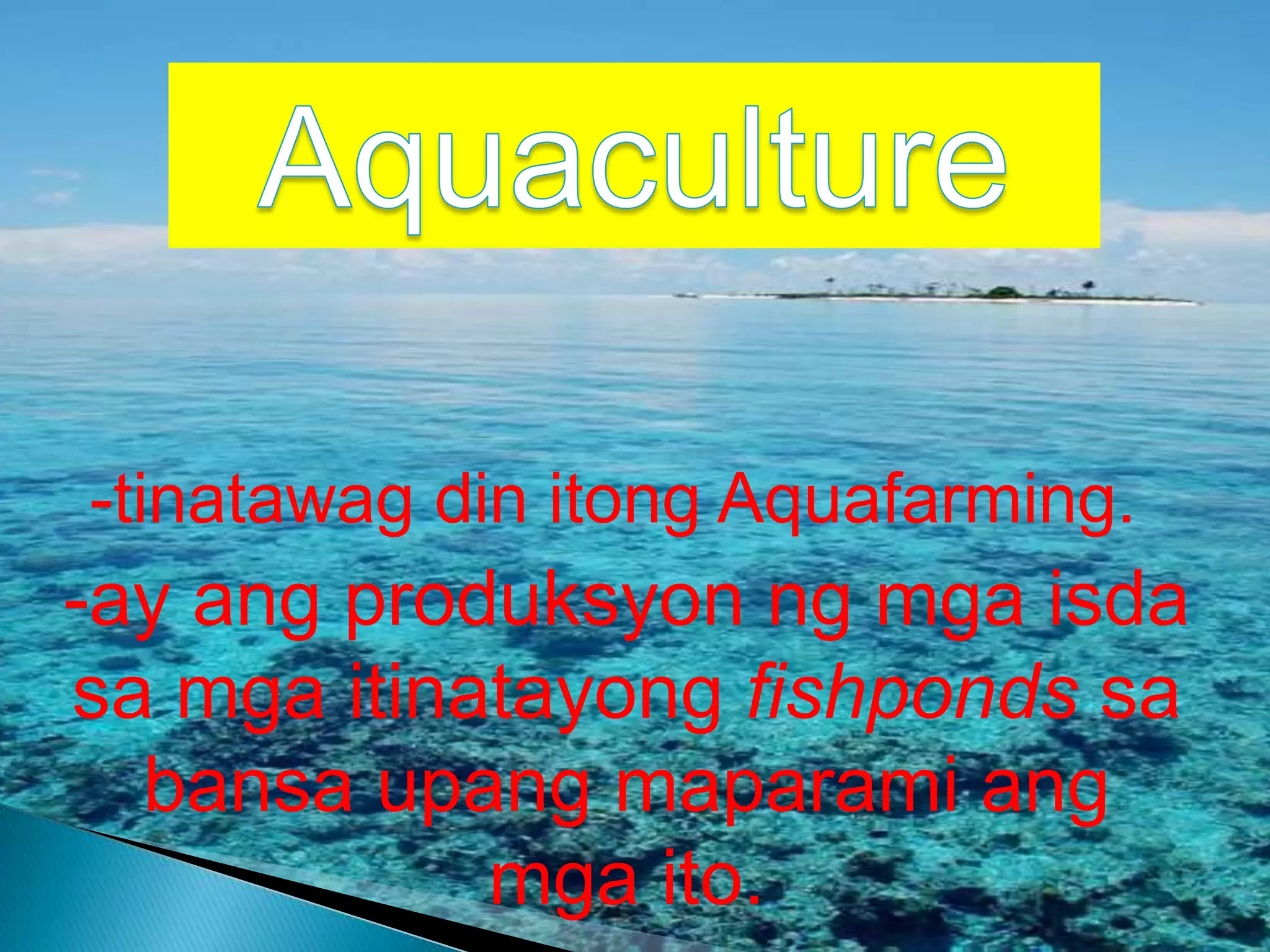 Yaman Dagat Power Point | PPTX