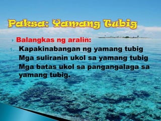 Yaman Dagat Power Point | PPTX