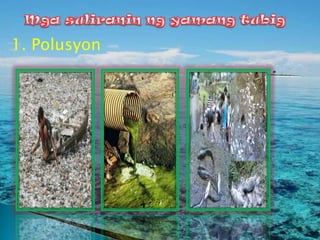 Yaman Dagat Power Point | PPTX