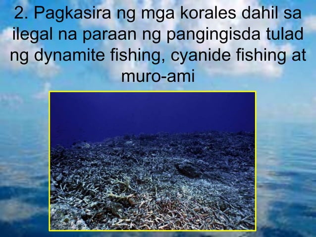 Yaman Dagat Power Point | PPTX