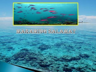 Yaman Dagat Power Point | PPTX