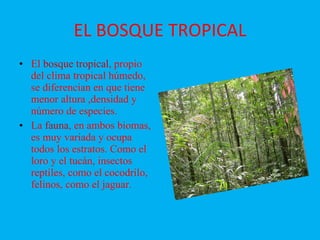 Los paisajes naturales. Jaime Y Miguel | PPT