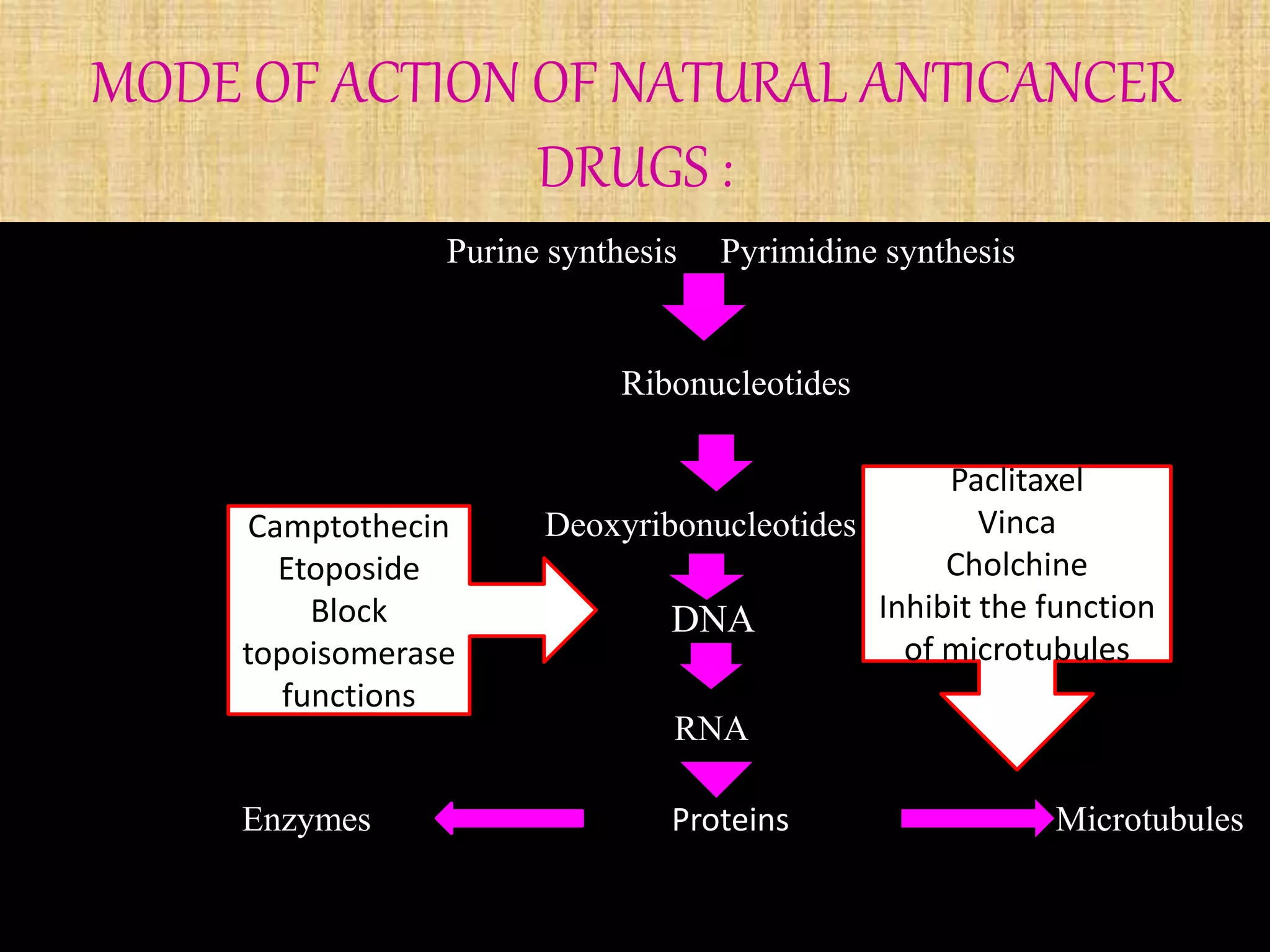 Anti cancer drugs | PPTX