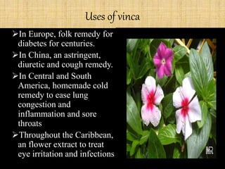 Anti cancer drugs | PPTX