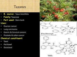Anti cancer drugs | PPTX