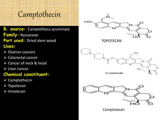 Anti cancer drugs | PPTX