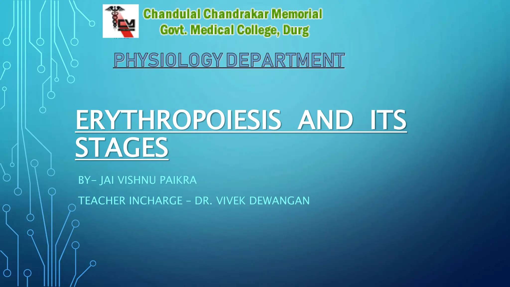 Erythropoiesis in human body physiology seminar | PPT