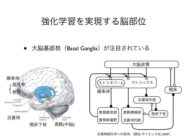 Computational Motor Control Reinforcement Learning Jaist Summer Cou