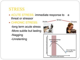 Stress management Workshop | PPTX