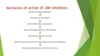 Comprehensive Overview of the JAK-STAT Signaling Pathway and Its ...