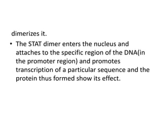 JAK STAT SIGNALLING PATHWAY | PPTX