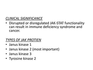 JAK STAT SIGNALLING PATHWAY | PPTX