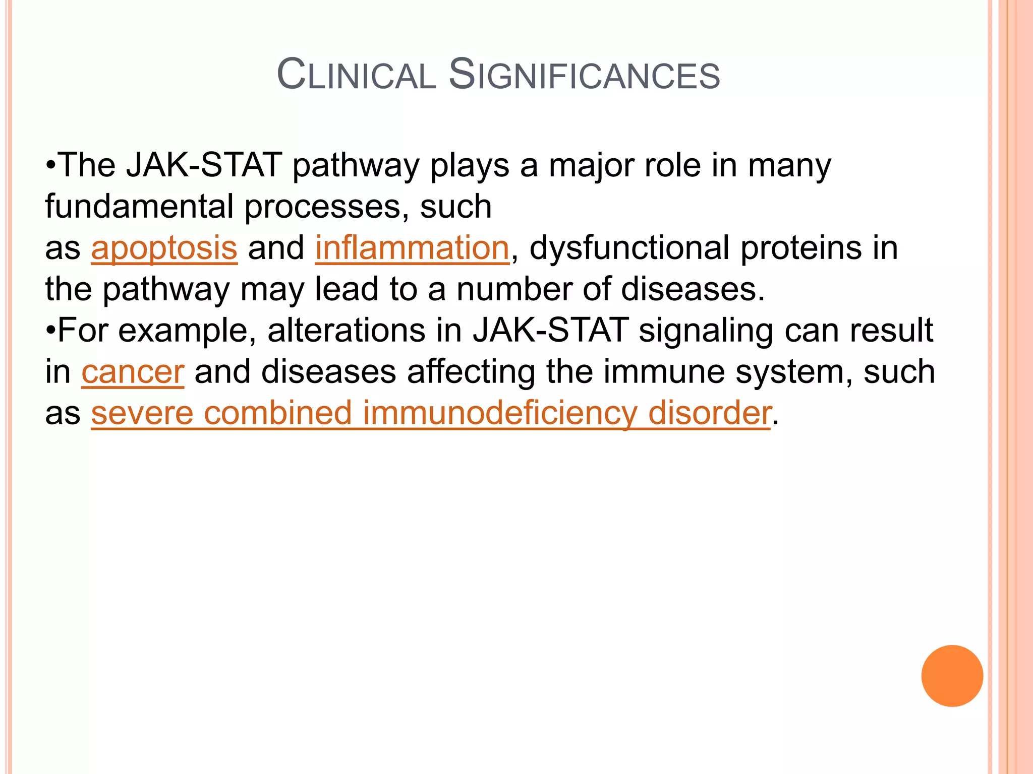 Jak stat signaling pathway | PPT