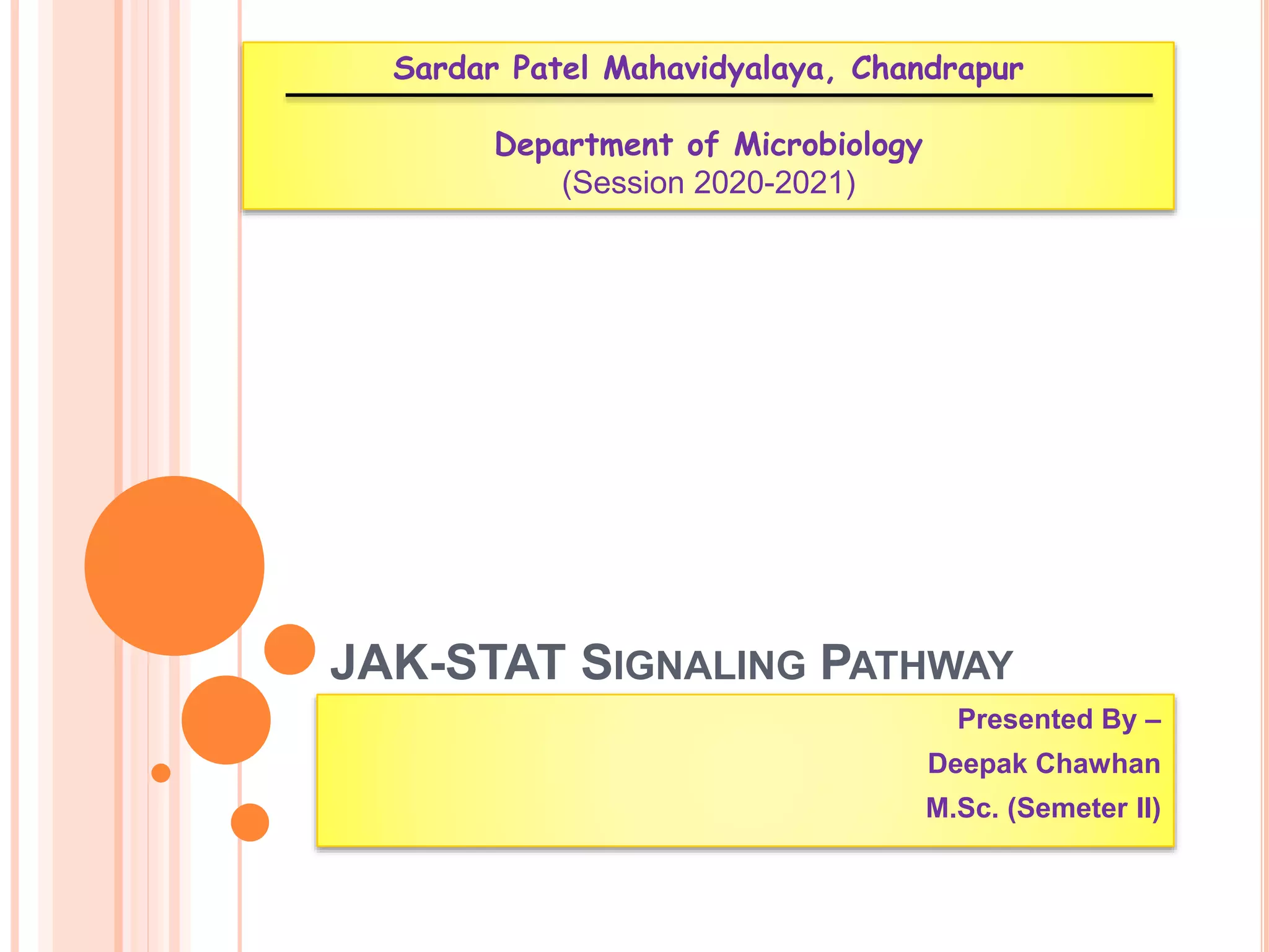 Jak stat signaling pathway | PPT