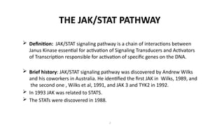 JAK-STAT signaling pathway by Group 3 CORRECTED.pptx