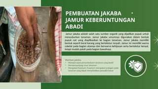 JAKABA dan pestisida nabati, bahan presentasi | PPTX