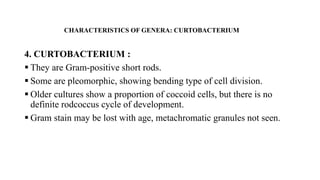 General Characteristics of Plant Pathogenic Bacteria ppt. By ADAMU Zaid ...