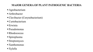 General Characteristics of Plant Pathogenic Bacteria ppt. By ADAMU Zaid ...