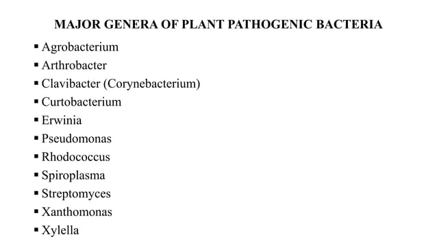 General Characteristics of Plant Pathogenic Bacteria ppt. By ADAMU Zaid ...