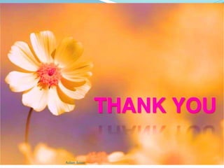 Jakarta Declaration on Health Promotion | PDF