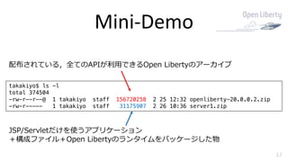 Open Liberty / WebSphere Liberty | PDF