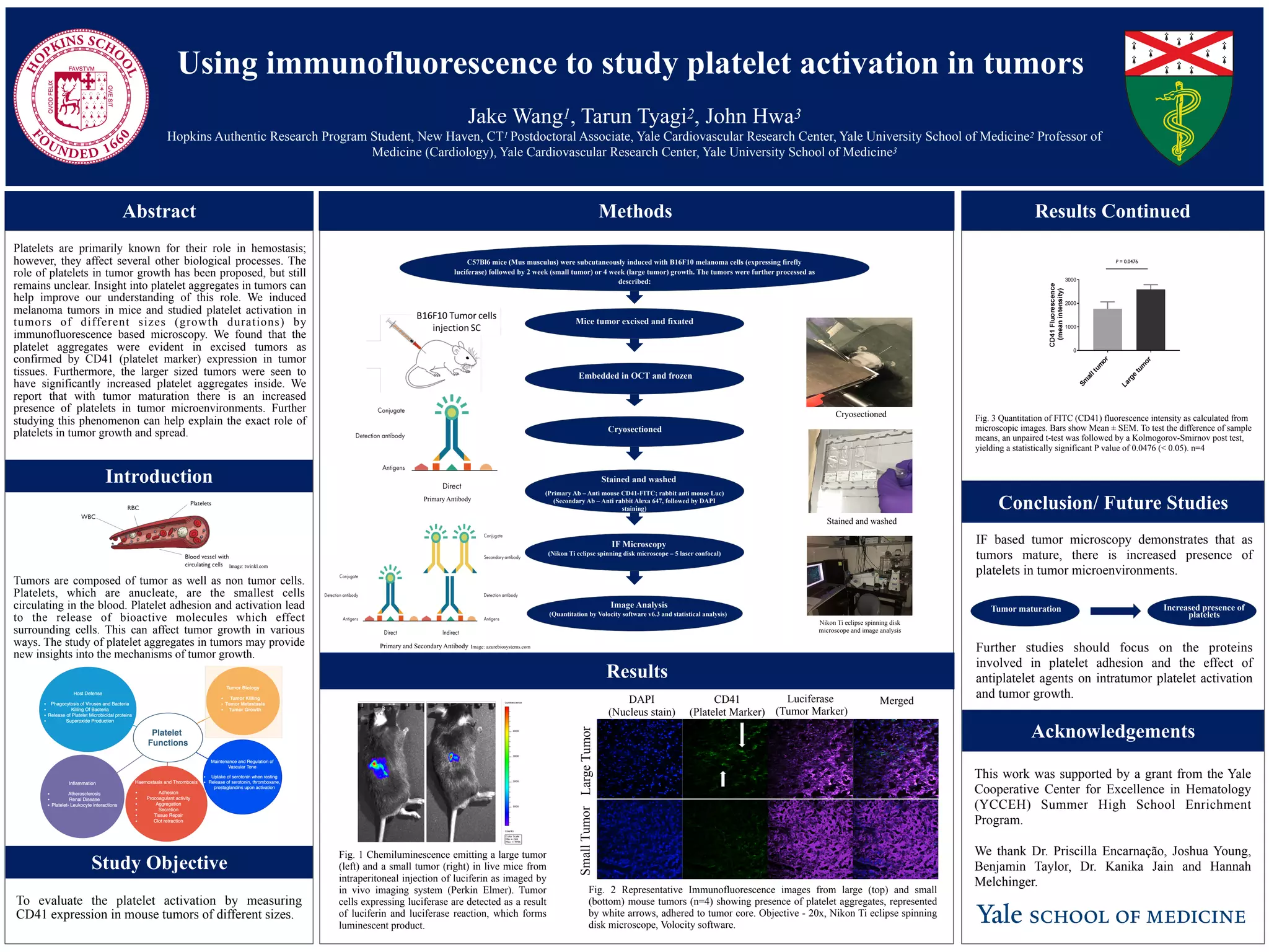 Jake Wang - Yale School of Medicine Research Poster | PDF