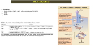 JAK inhibitors review , all uses and approval in dermatology 2024 | PPTX