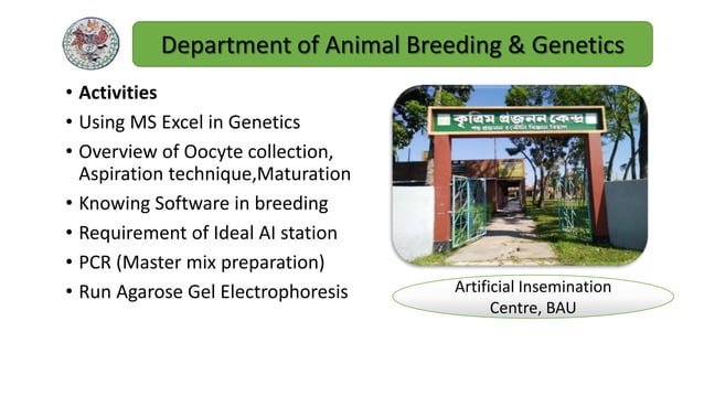 Animal Husbandry internship ,internship | PPTX | Agriculture | Industries