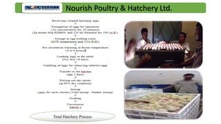 Animal Husbandry internship ,internship | PPTX