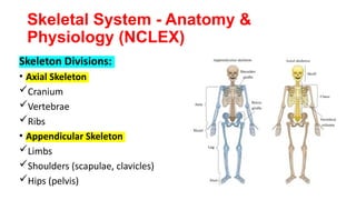MUSKULOSKELETAL SYSTEM for nurses onlinr.pptx