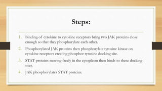 Regulation of JAK STAT Pathway | PPTX