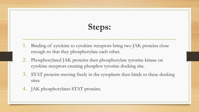 Regulation of JAK STAT Pathway | PPT