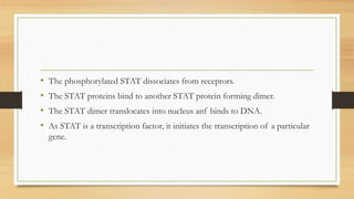 Regulation of JAK STAT Pathway | PPT