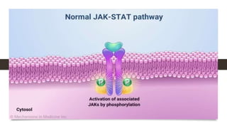 Regulation of JAK STAT Pathway | PPTX