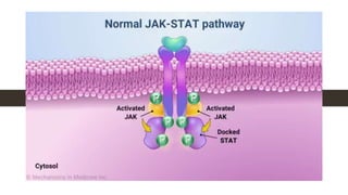 Regulation of JAK STAT Pathway | PPTX