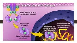 Regulation of JAK STAT Pathway | PPTX