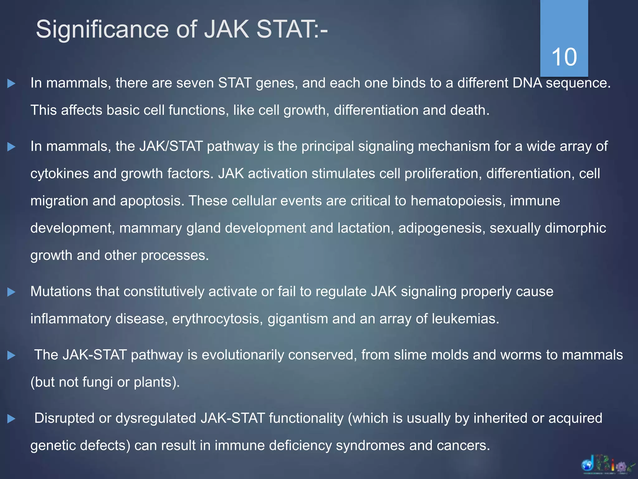 JAK STAT.pptx