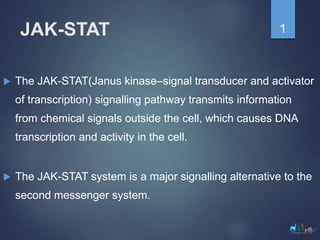 JAK STAT.pptx