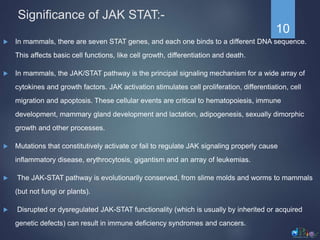 JAK STAT.pptx