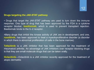 JAK STAT.pptx